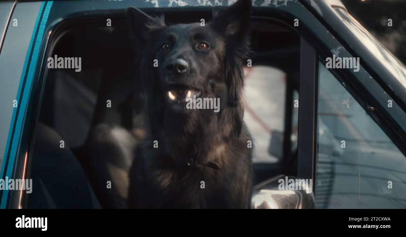 MUZZLE, 2023. © RLJE Films / Courtesy Everett Collection Stock Photo ...