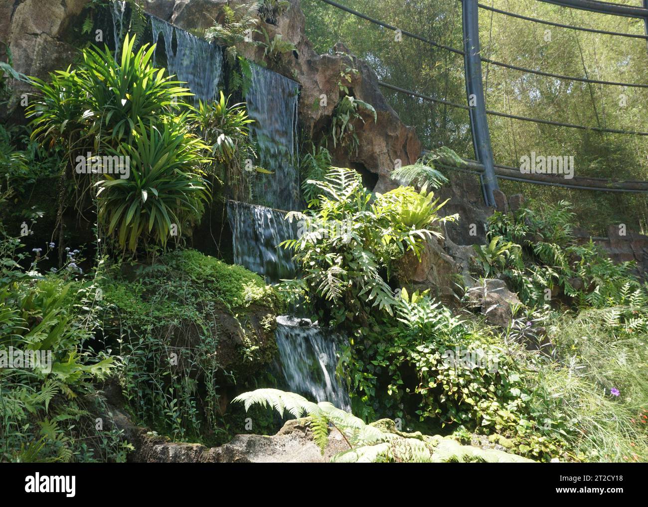 Artificial water fall in a large botanical garden inside the aviary ...