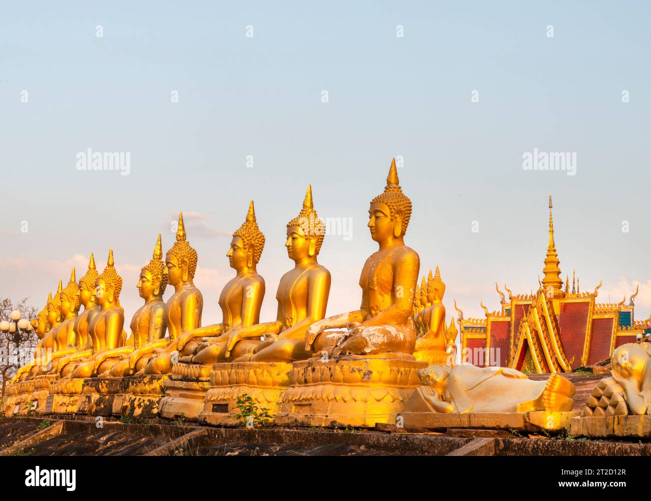 Rows of beautiful,miniature,vibrant gold sculptures of Buddha ...