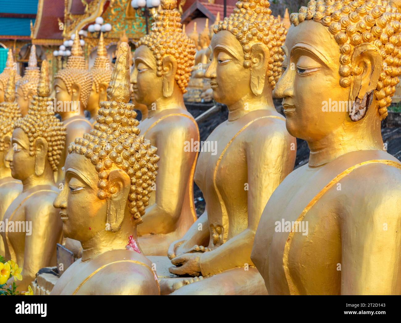 Rows of beautiful,miniature,vibrant gold sculptures of Buddha ...