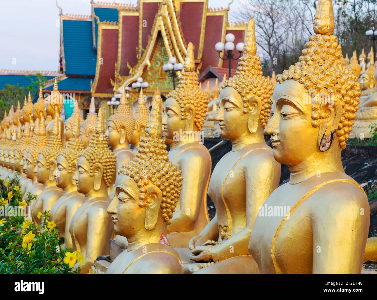 Rows of beautiful,miniature,vibrant gold sculptures of Buddha ...