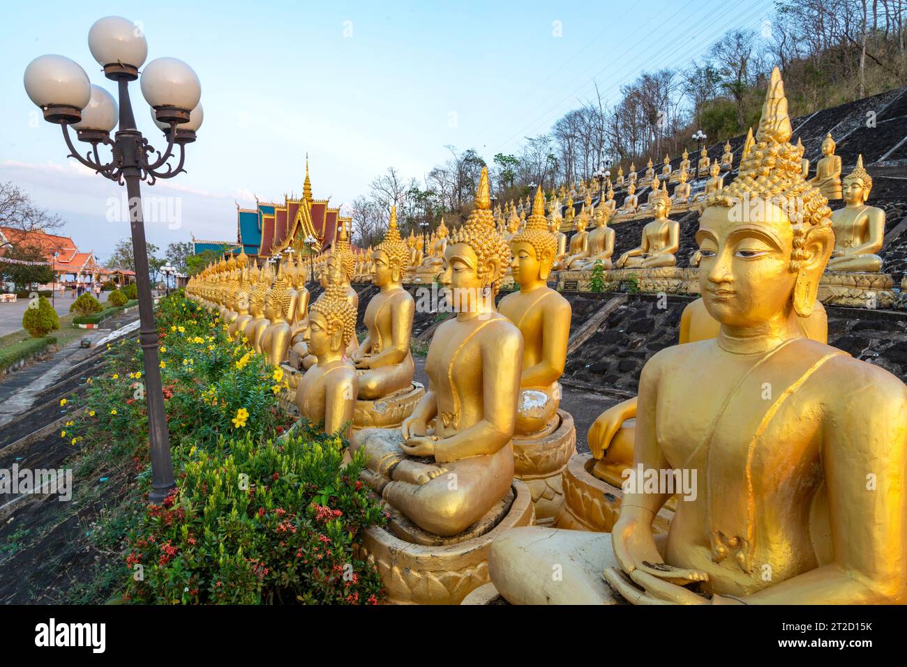 Rows of beautiful,miniature,vibrant gold sculptures of Buddha ...
