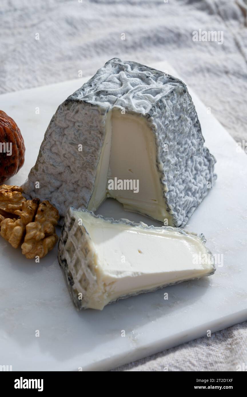 Cheese collection, French Valencay with black mold pyramid cheese made ...