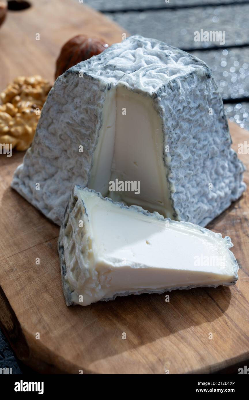 Cheese collection, French Valencay with black mold pyramid cheese made ...