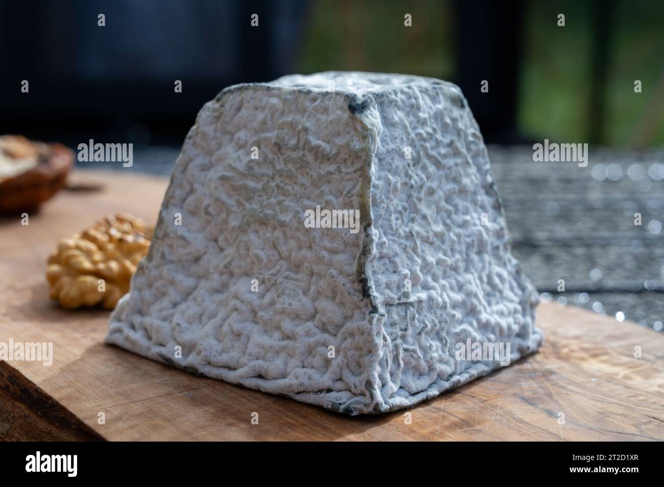 Cheese collection, French Valencay with black mold pyramid cheese made ...