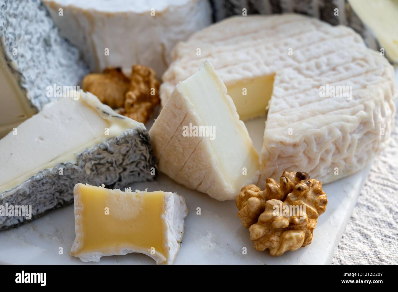 Goat che hi-res stock photography and images - Alamy