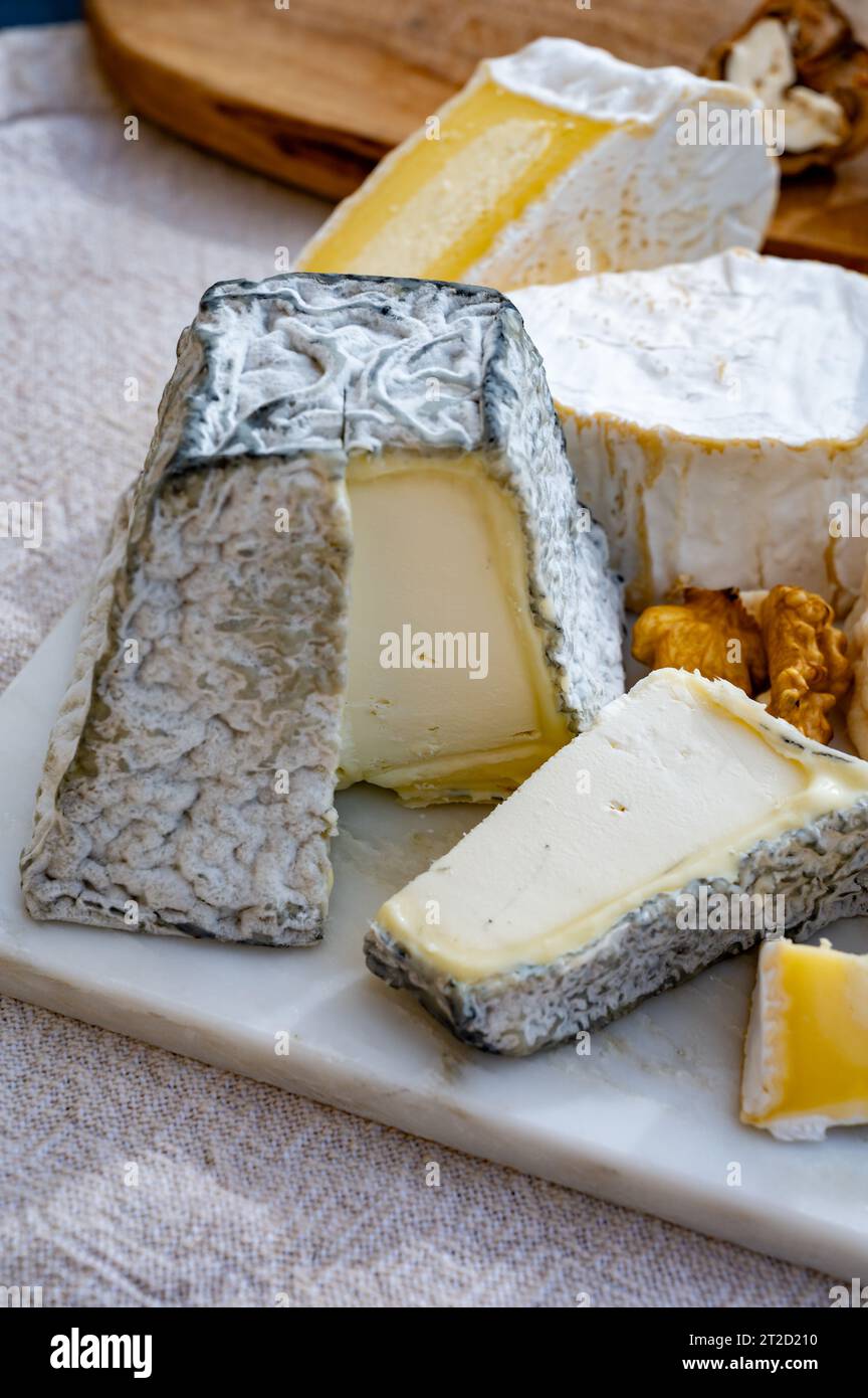 Goat che hi-res stock photography and images - Alamy