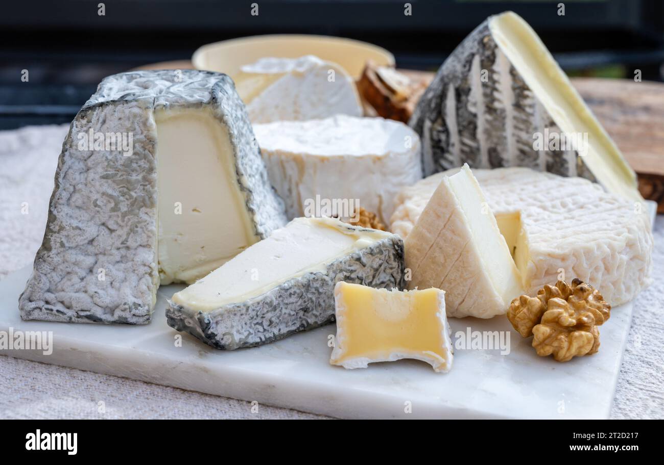 French cheeses collection, Perail les Buissieres sheep cheese ...