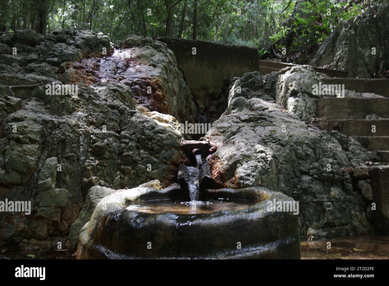 Jathika Namal Uyana, Dambulla, Visit Sri Lanka Stock Photo - Alamy