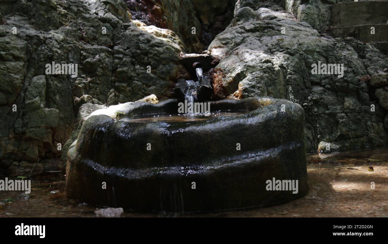 Jathika Namal Uyana, Dambulla, Visit Sri Lanka Stock Photo - Alamy