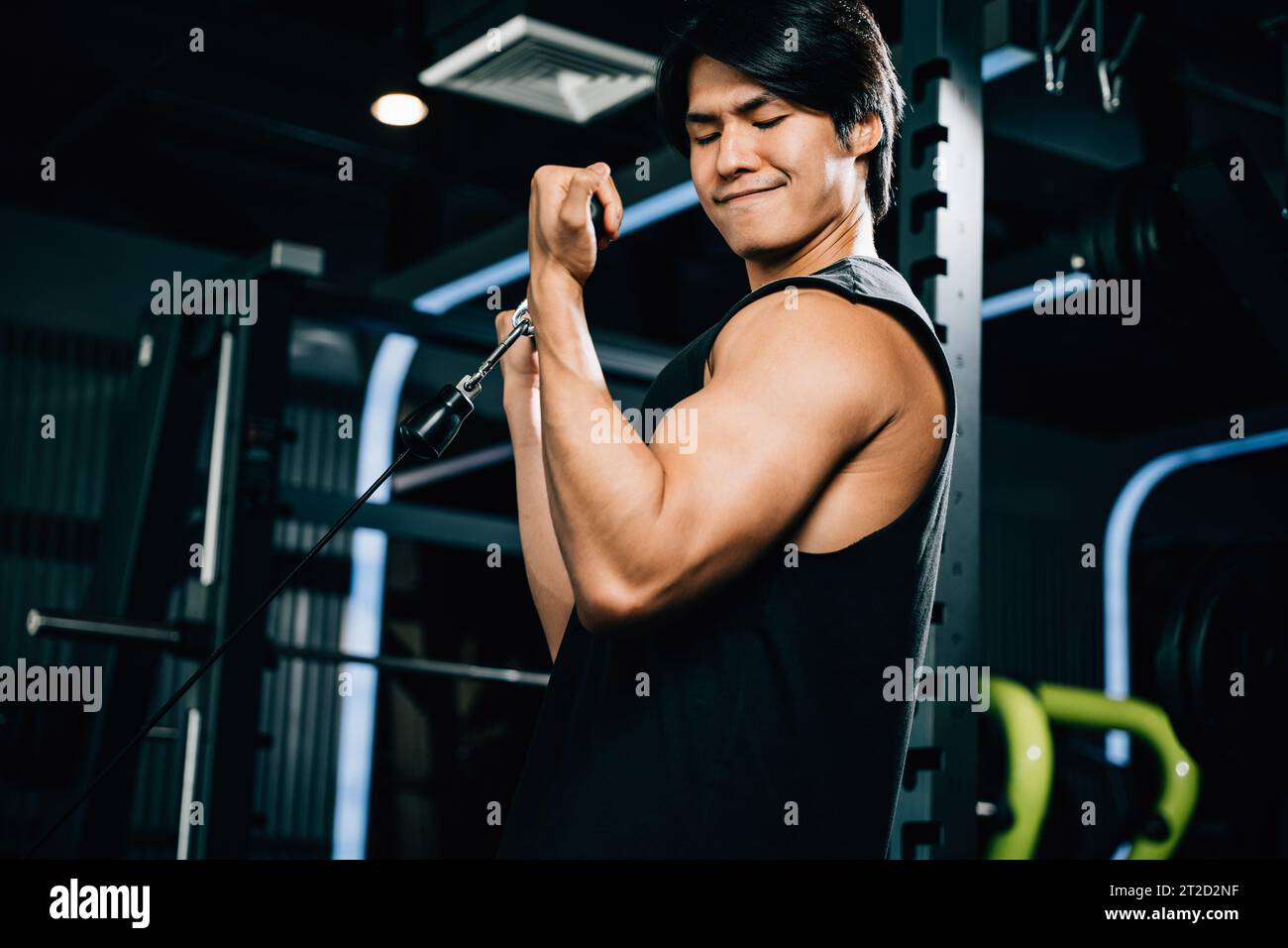 Tricep pull down machine hi-res stock photography and images - Alamy