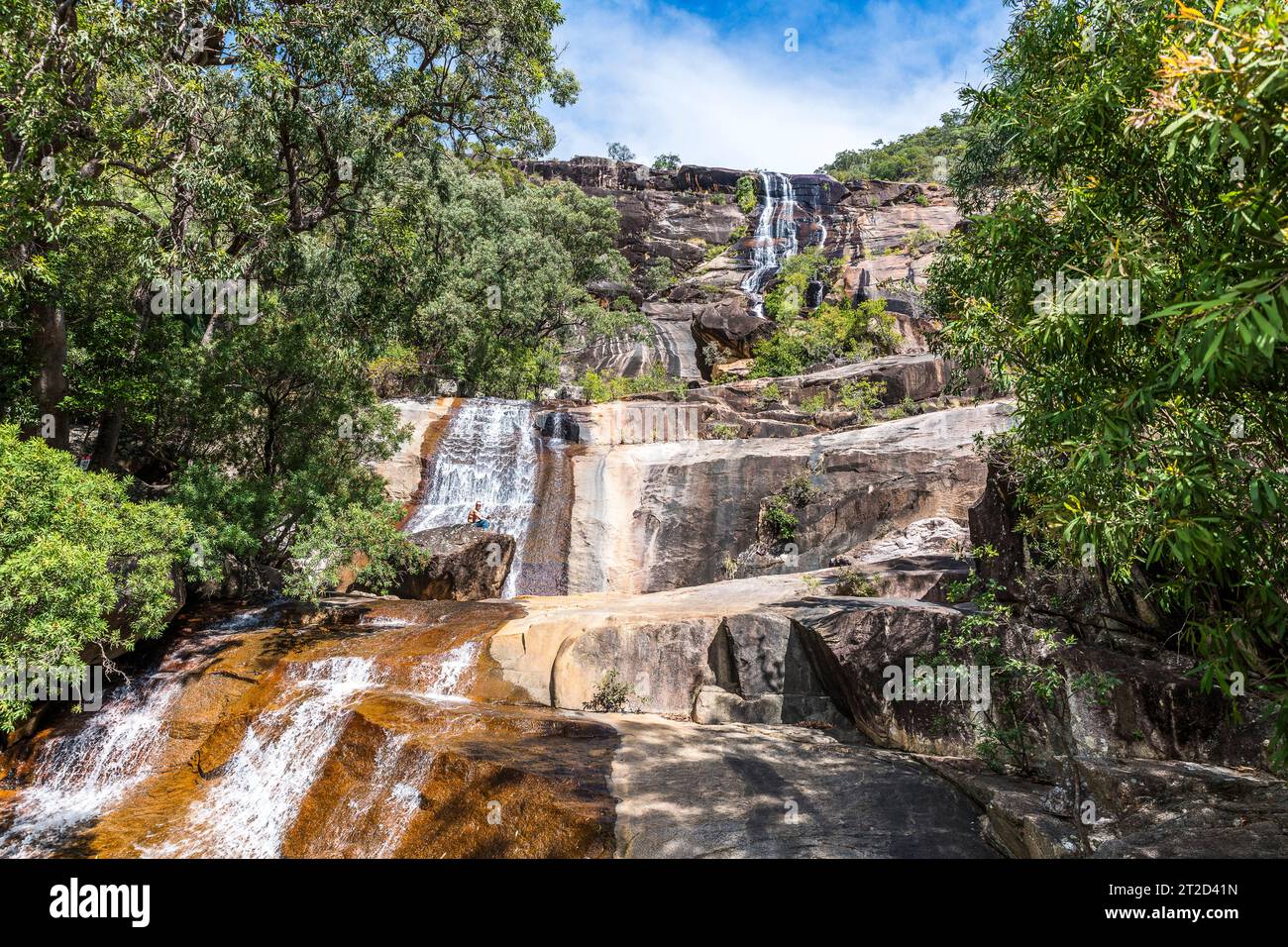Alligator bay hi-res stock photography and images - Alamy