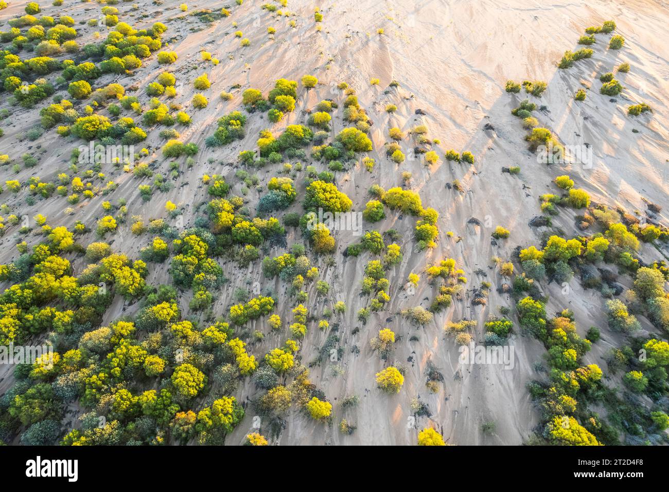 Burdekin River is a river in North and Far North Queensland, Australia ...