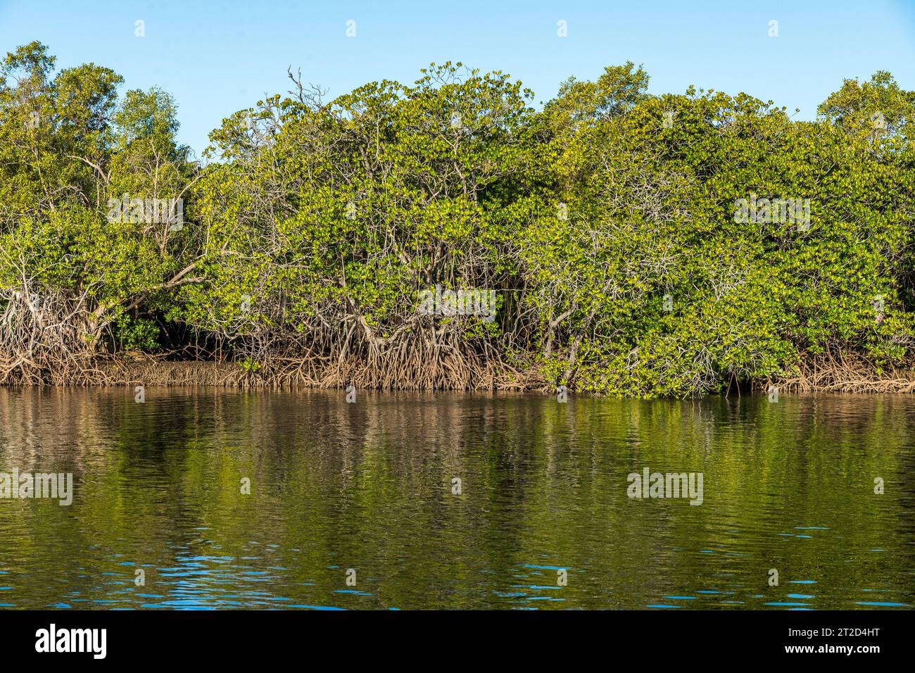 Burdekin River is a river in North and Far North Queensland, Australia ...