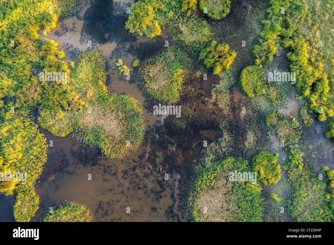 Burdekin River is a river in North and Far North Queensland, Australia ...