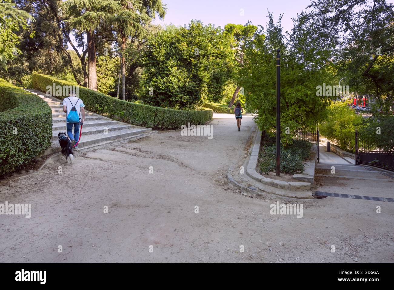 an urban park with dirt paths, people and animals Stock Photo - Alamy