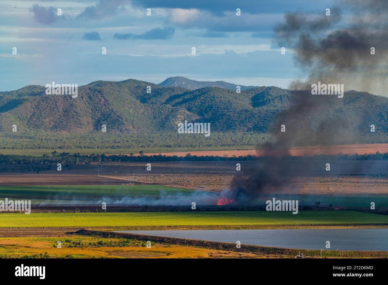 field of sugar cane is burnt before harvesting, in Queensland, Shire of Burdekin, Australia ...