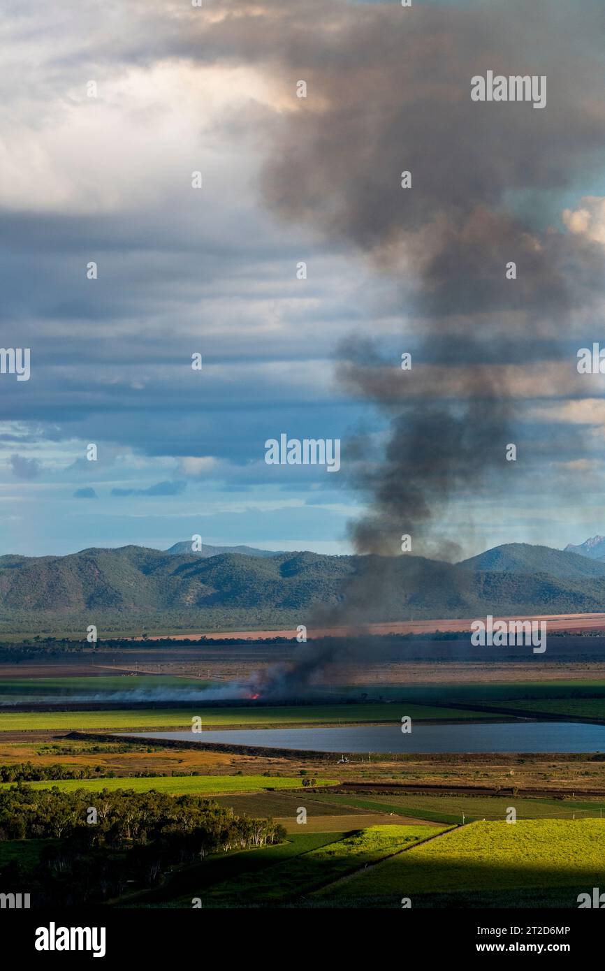 field of sugar cane is burnt before harvesting, in Queensland, Shire of Burdekin, Australia ...