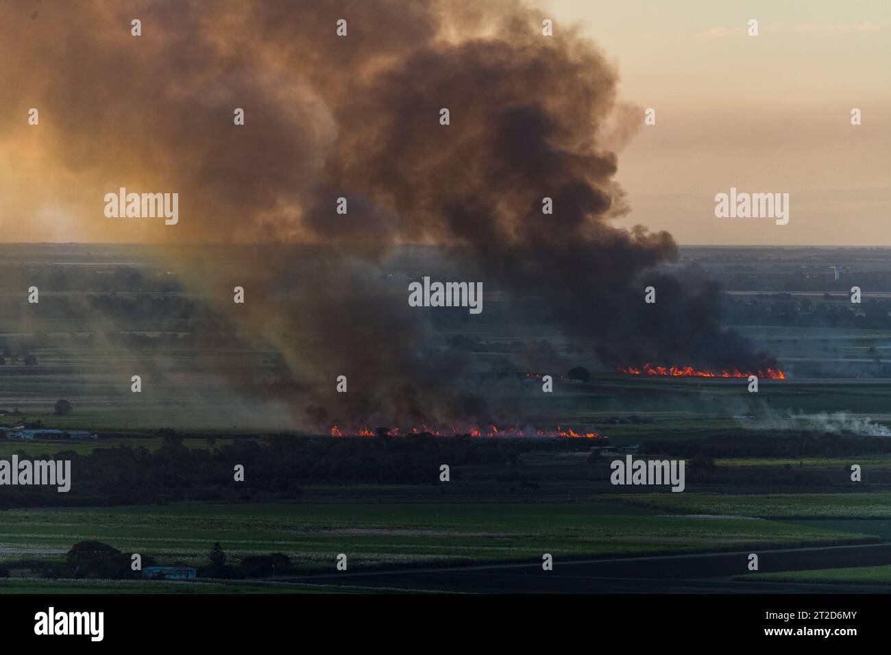 field of sugar cane is burnt before harvesting, in Queensland, Shire of Burdekin, Australia ...