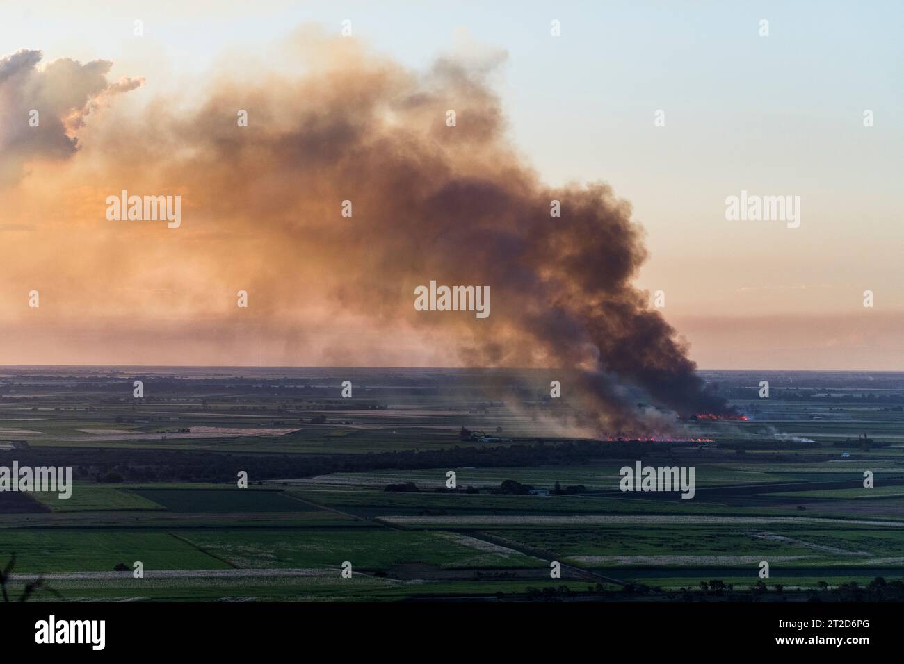 field of sugar cane is burnt before harvesting, in Queensland, Shire of Burdekin, Australia ...