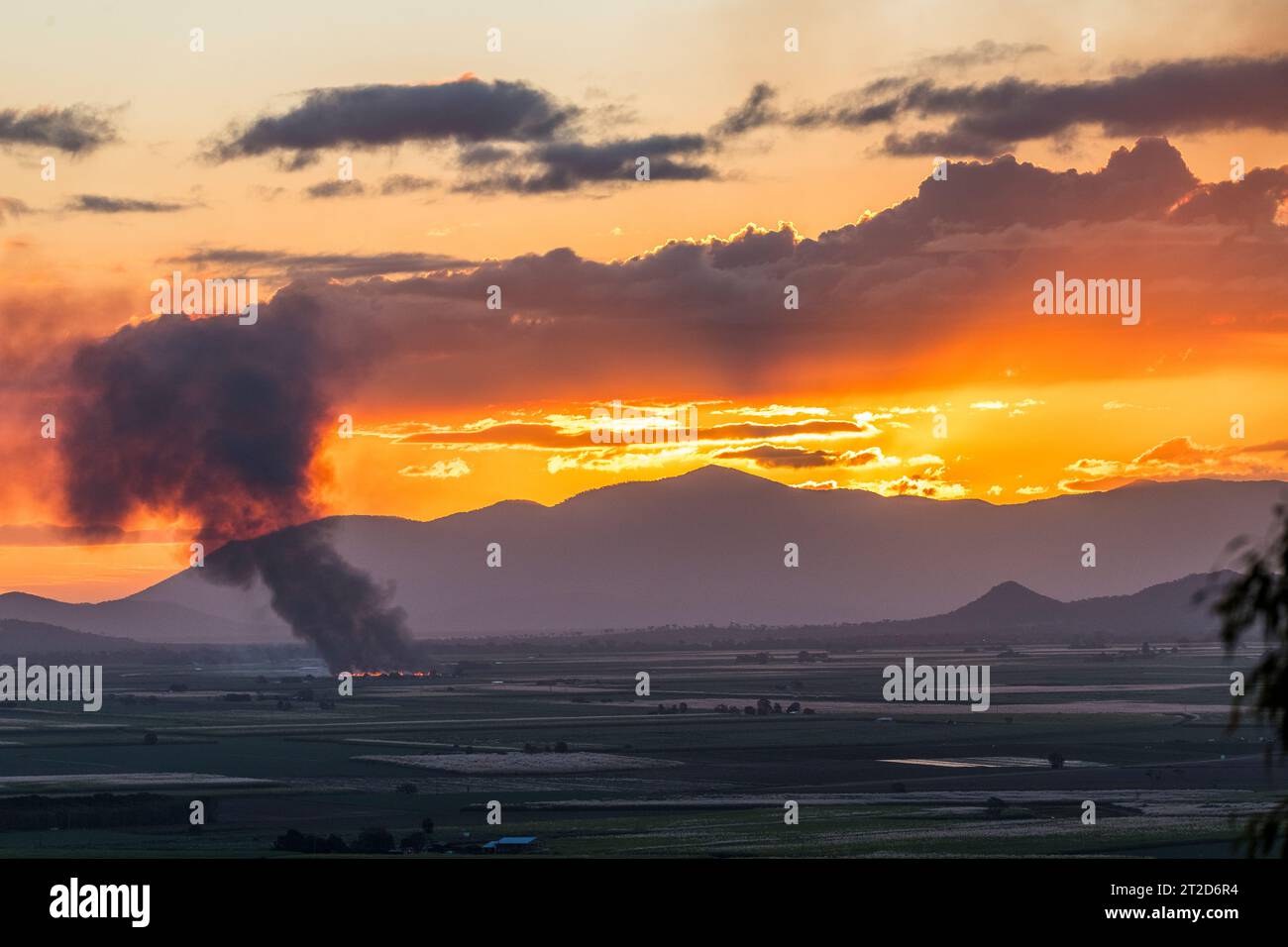 field of sugar cane is burnt before harvesting, in Queensland, Shire of Burdekin, Australia ...