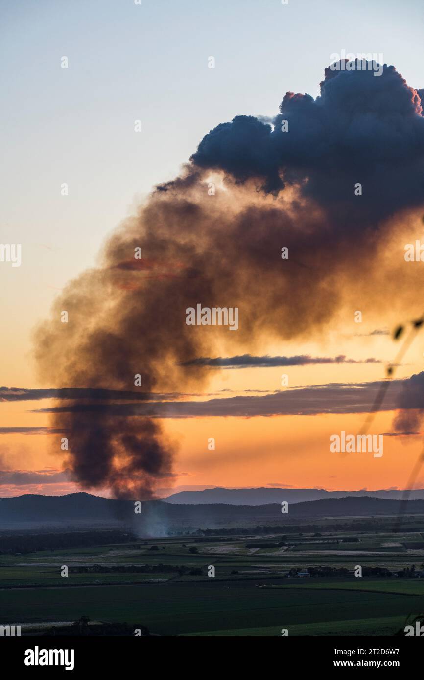 field of sugar cane is burnt before harvesting, in Queensland, Shire of Burdekin, Australia ...