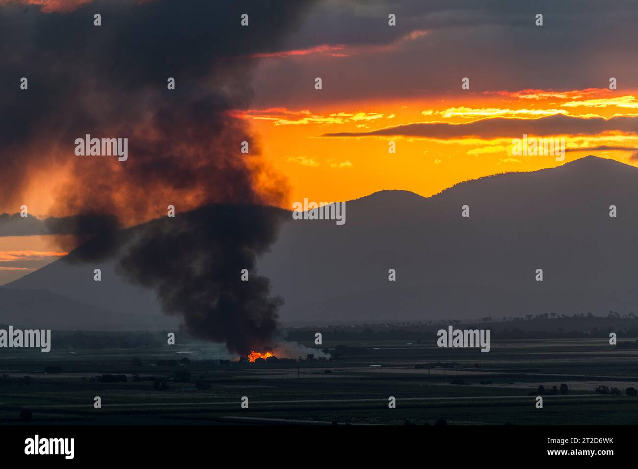 field of sugar cane is burnt before harvesting, in Queensland, Shire of Burdekin, Australia ...
