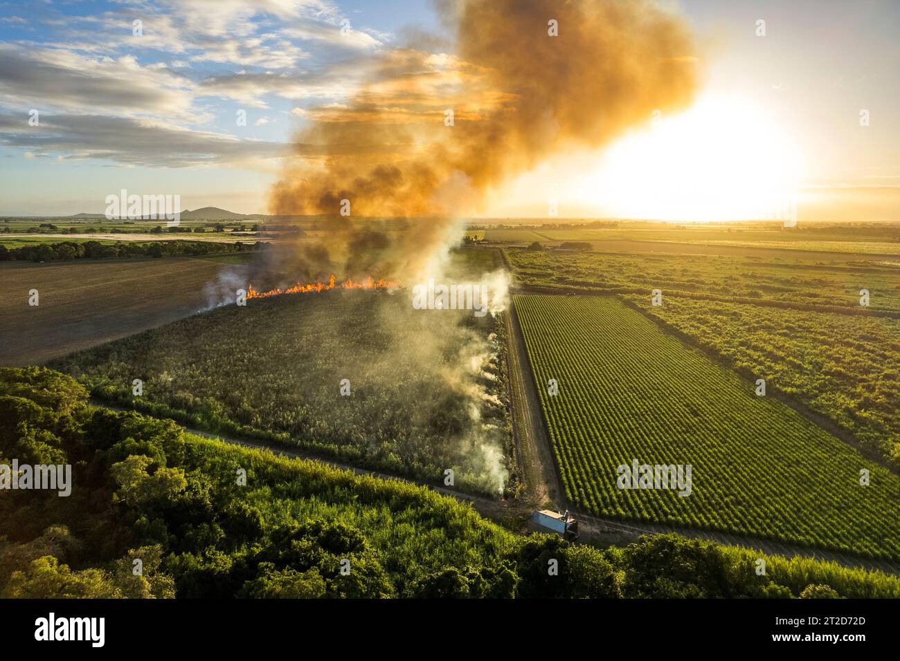 field of sugar cane is burnt before harvesting, in Queensland, Shire of Burdekin, Australia ...