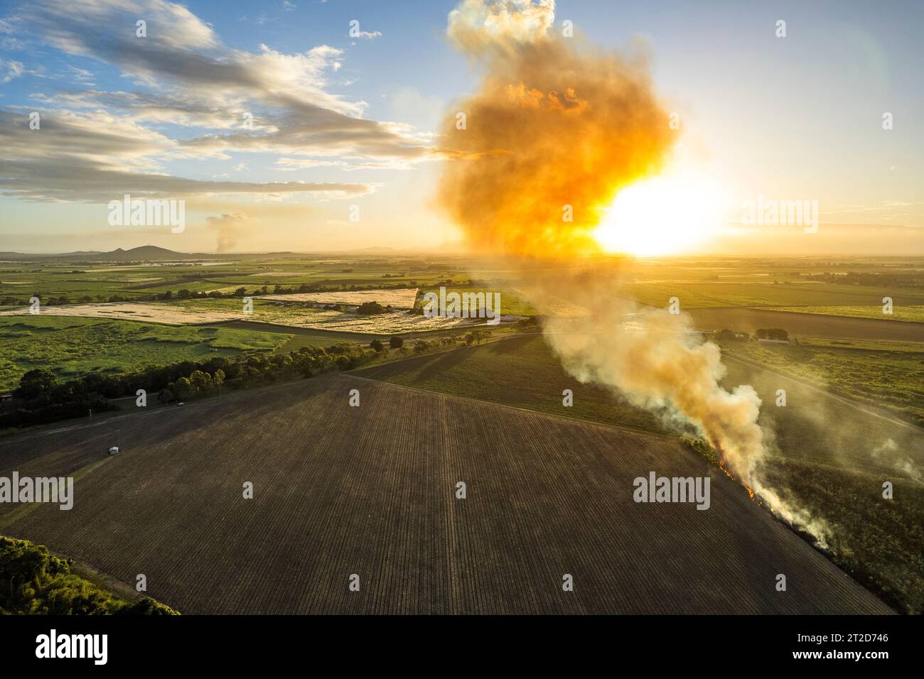 field of sugar cane is burnt before harvesting, in Queensland, Shire of Burdekin, Australia ...