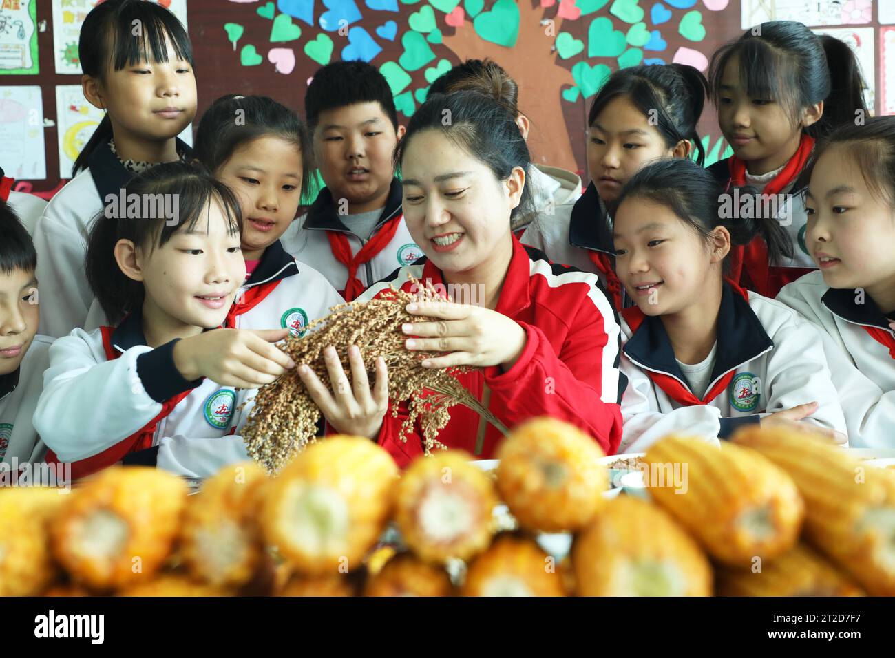 Children learn the knowlegde about grains on the World Food Day in ...