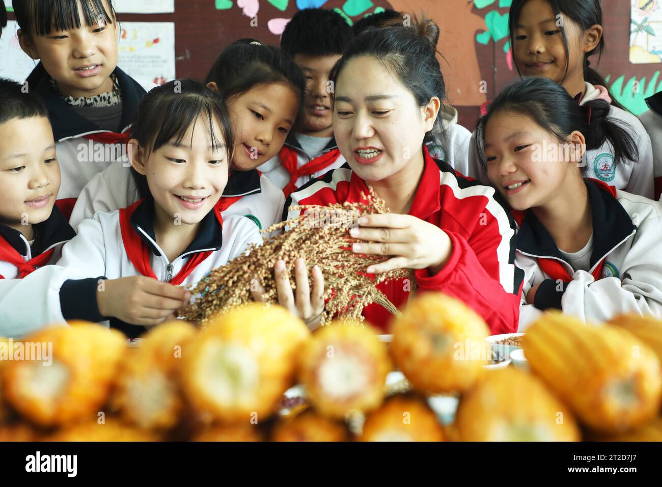 Children learn the knowlegde about grains on the World Food Day in ...