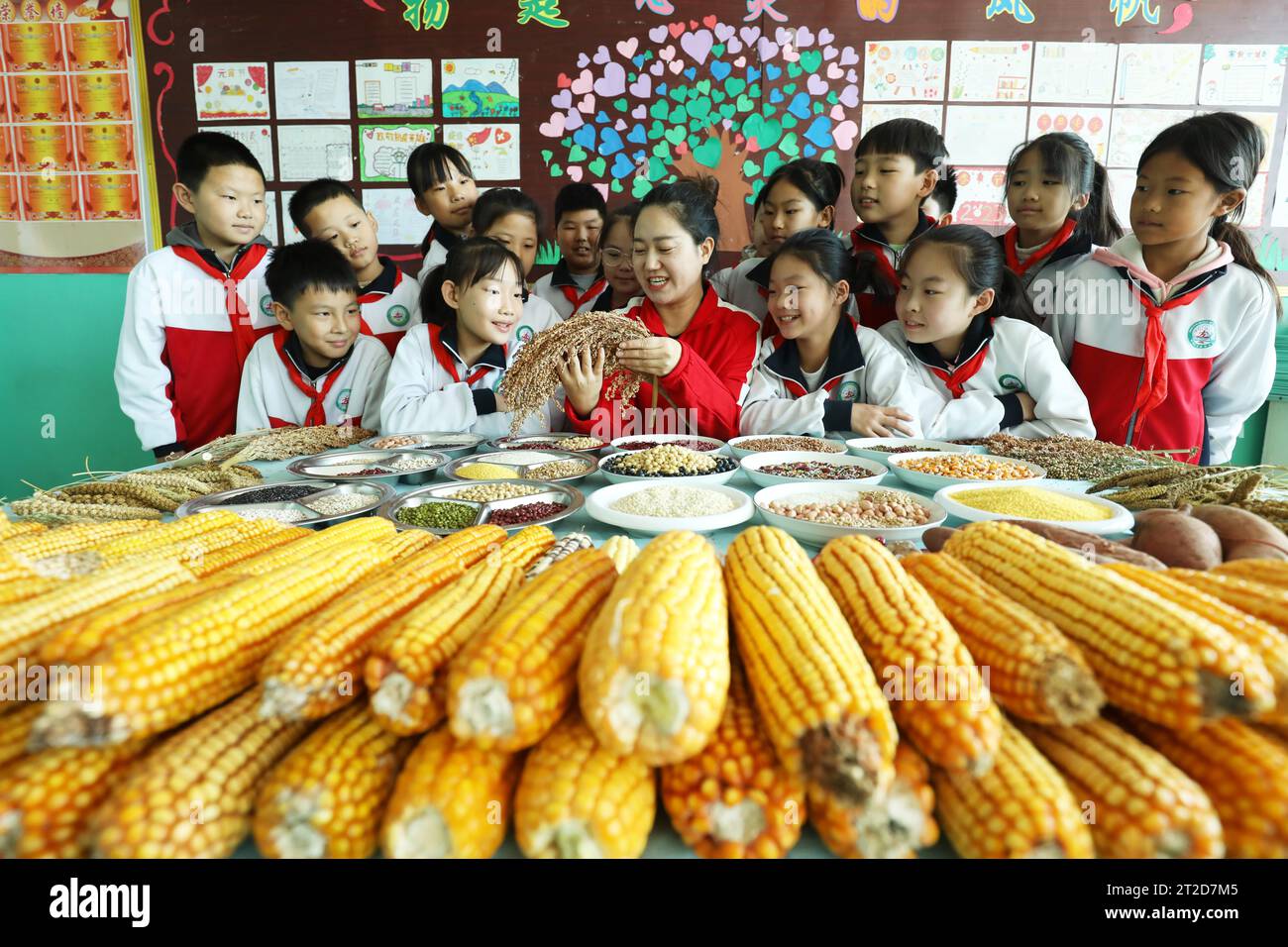 Children learn the knowlegde about grains on the World Food Day in ...