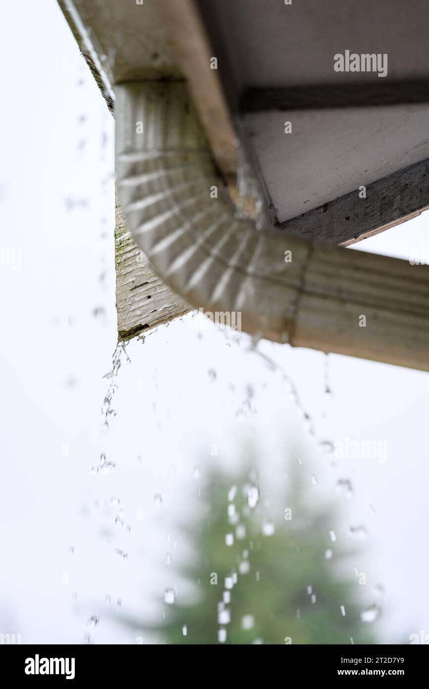 Heavy rainfall overflowing roof gutter and not going down the downspout ...