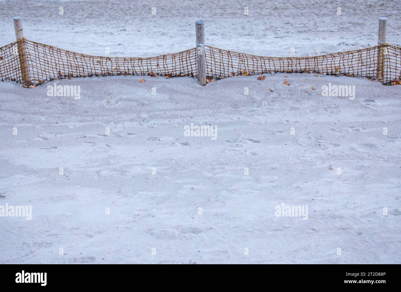PRODUCTION - 18 October 2023, Mecklenburg-Western Pomerania, Rostock ...
