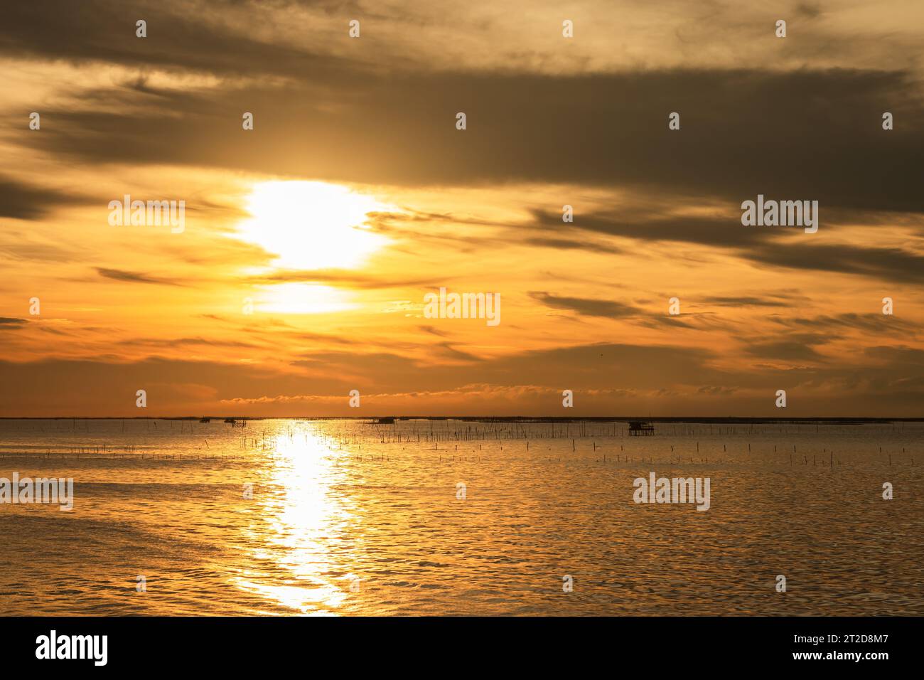 Cockle farm hi-res stock photography and images - Alamy