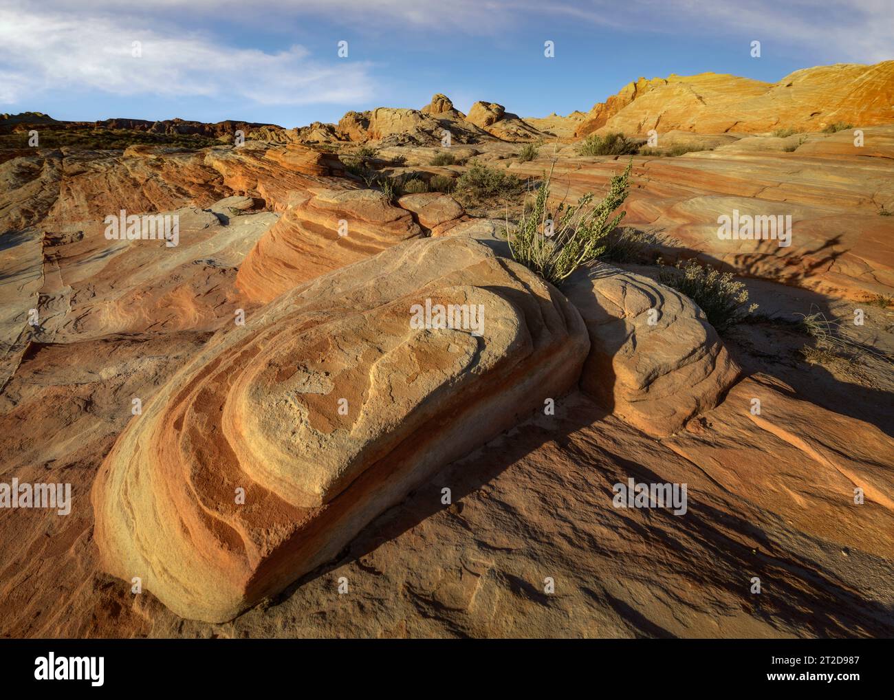 Sandstone formations at the Valley of Fire State Park, Nevada Stock ...