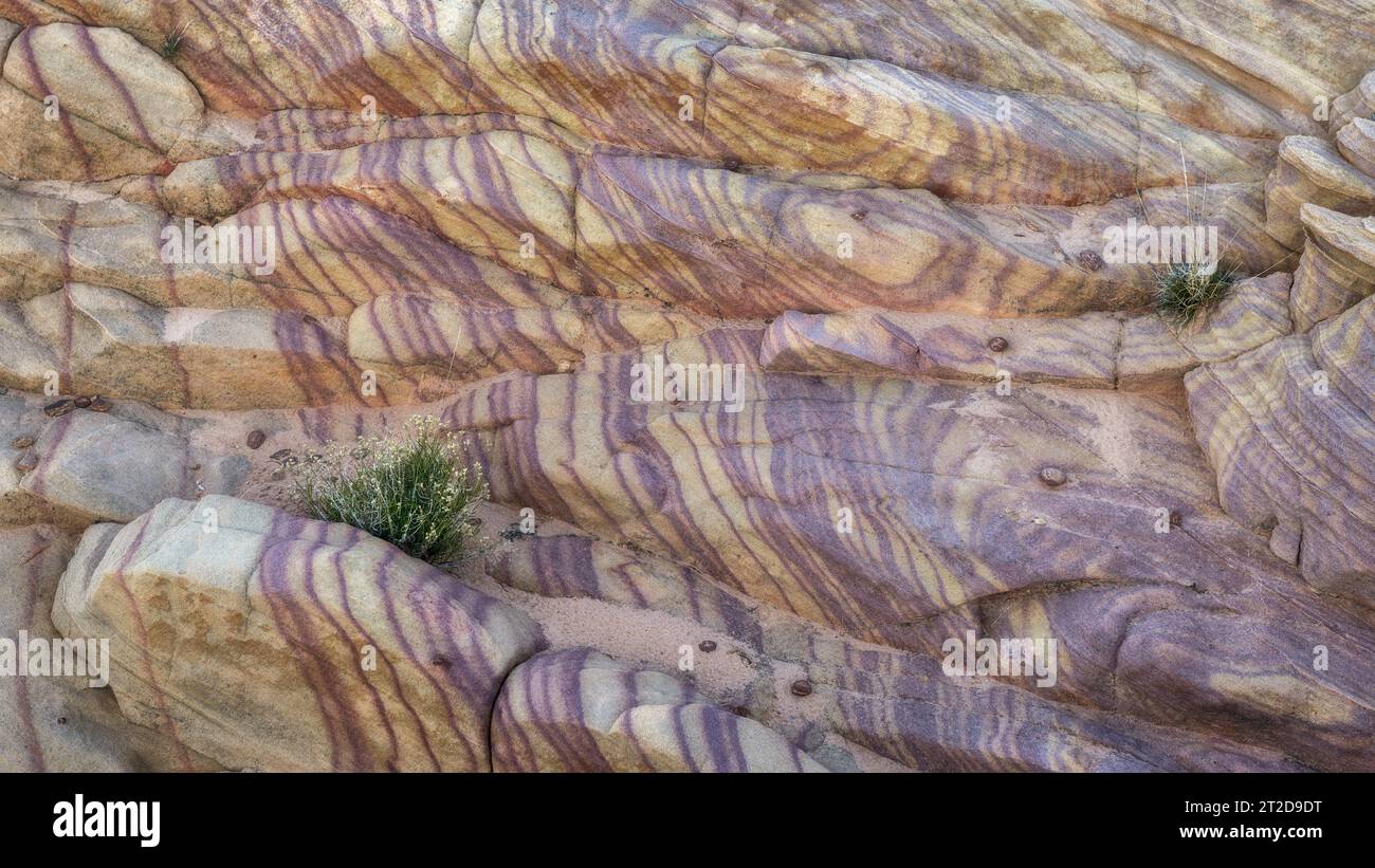Sandstone formations at the Valley of Fire State Park, Nevada Stock ...