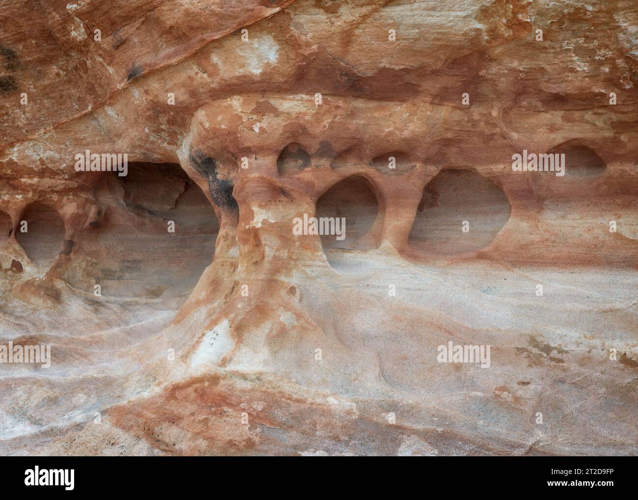 Sandstone formations at the Valley of Fire State Park, Nevada Stock ...