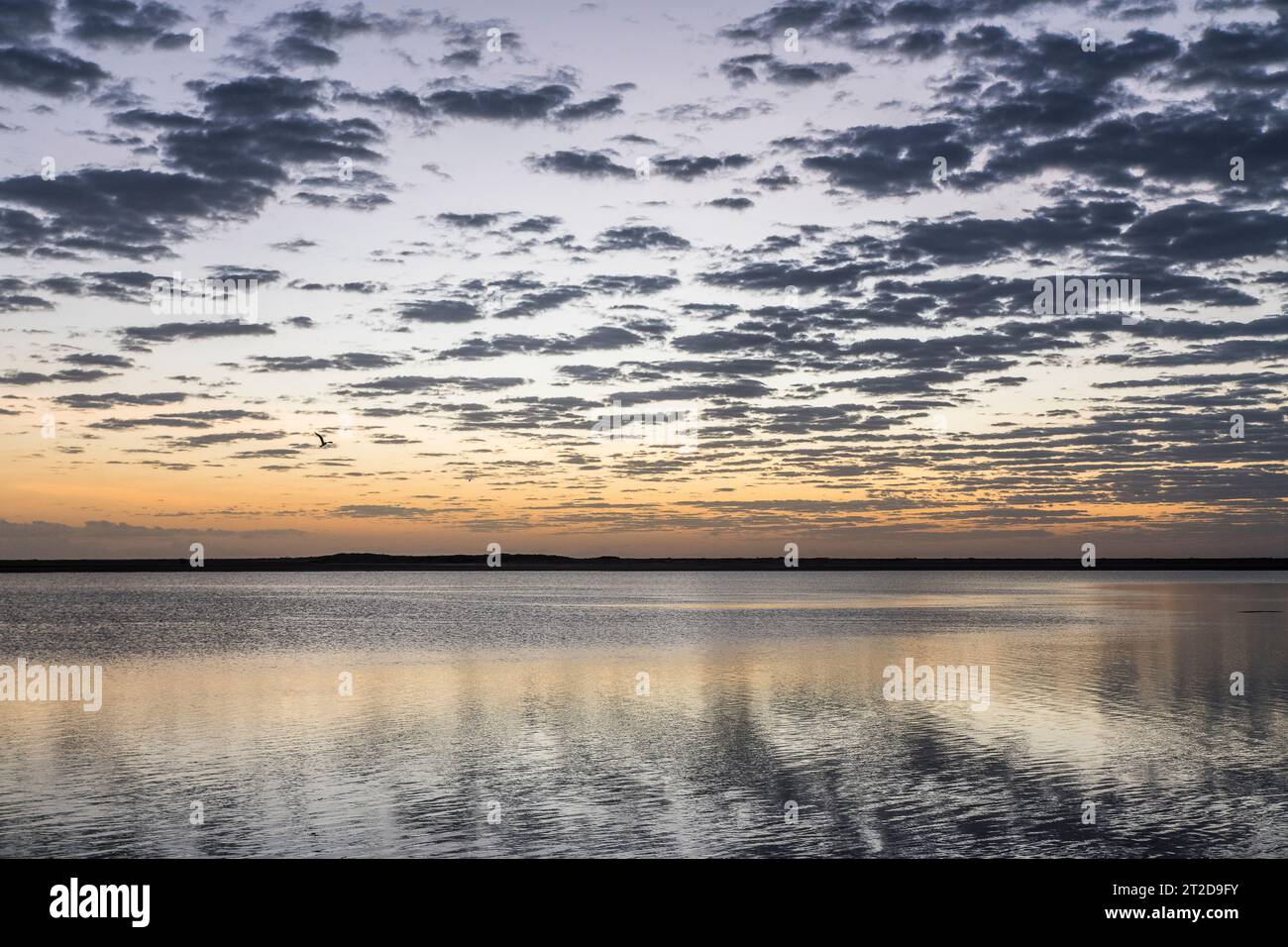 Alva Lynchs Beach, attraction in Queensland Stock Photo - Alamy