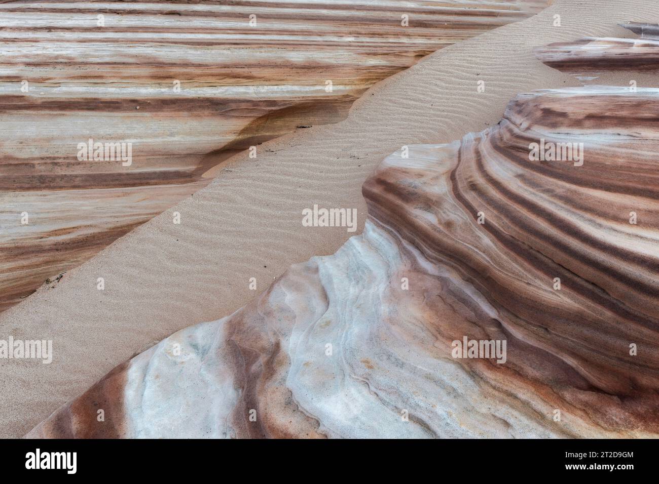 Sandstone formations at the Valley of Fire State Park, Nevada Stock ...
