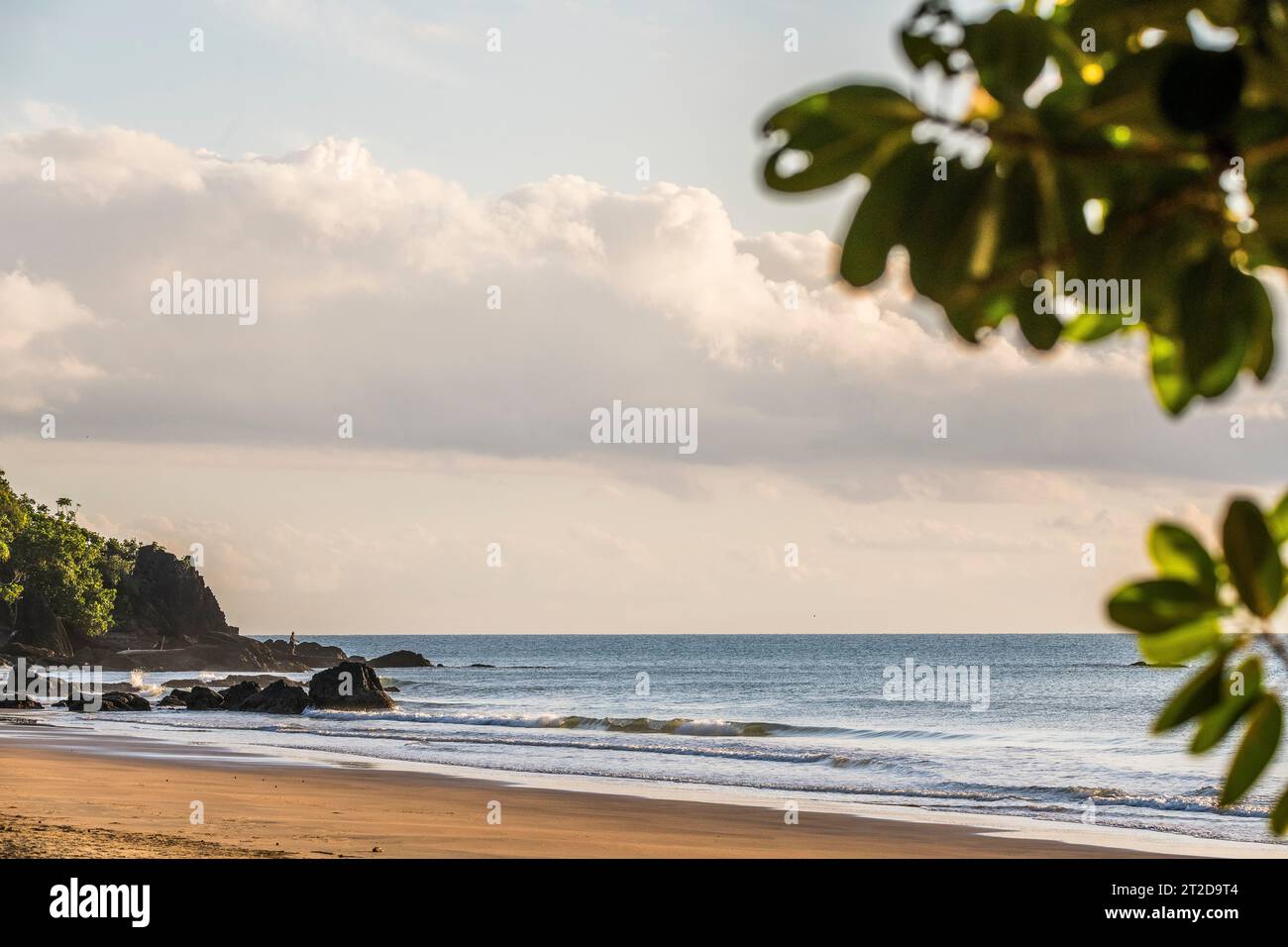 Etty Bay near Innisfail, Australia, Queensland, Moresby Range National ...