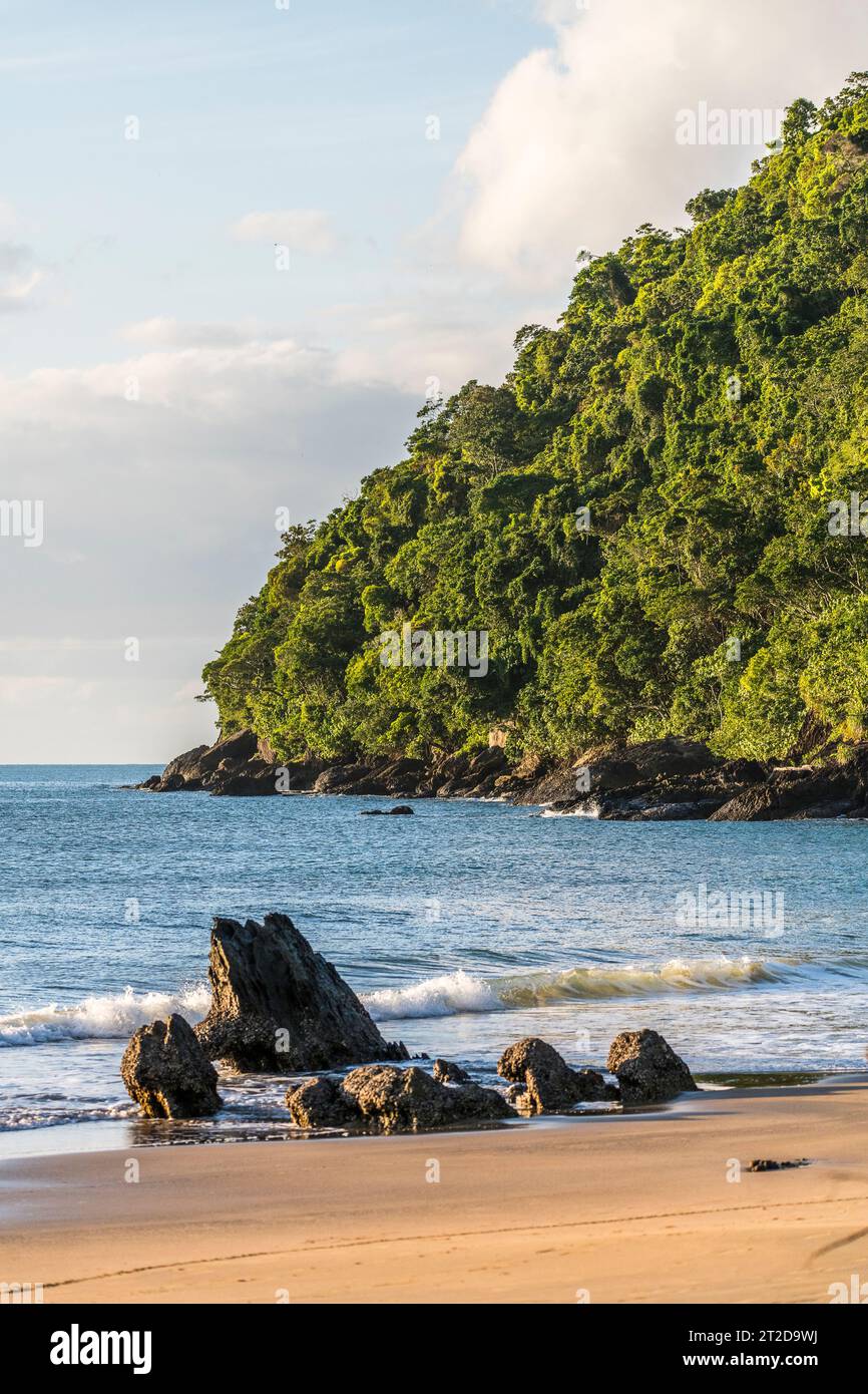 Etty Bay near Innisfail, Australia, Queensland, Moresby Range National ...