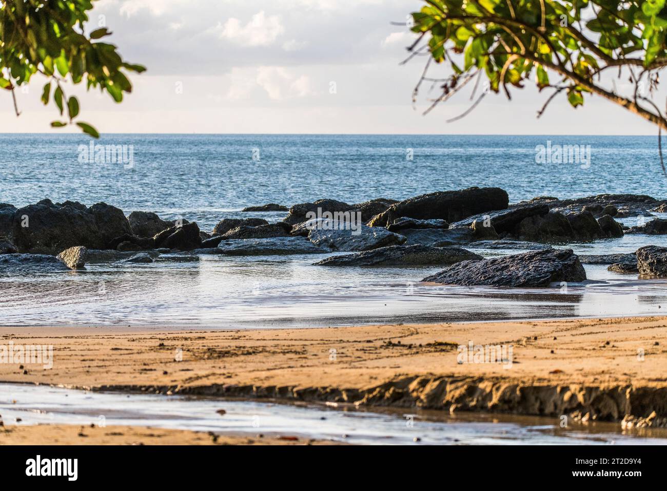 Etty Bay near Innisfail, Australia, Queensland, Moresby Range National ...