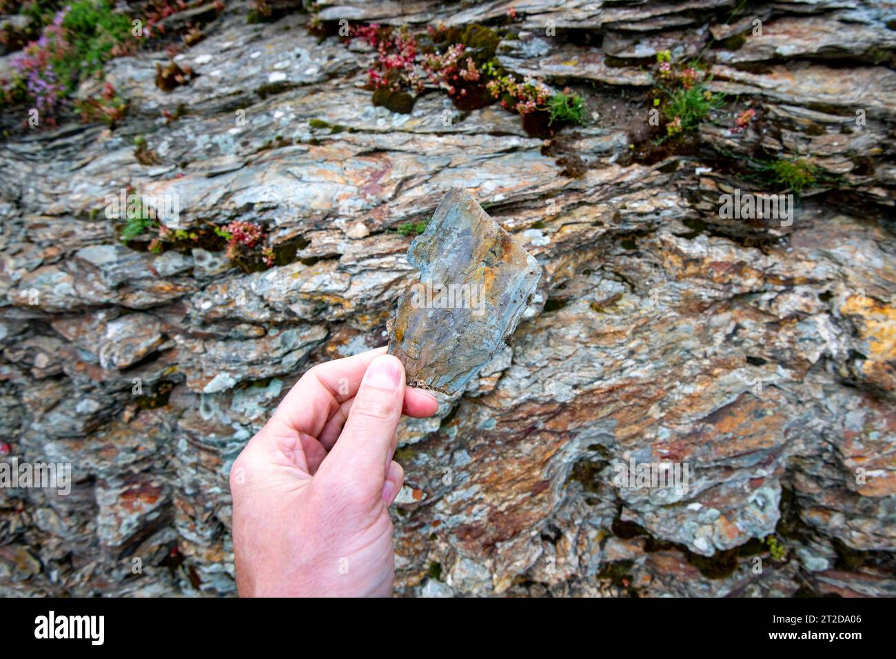 Outcrop of Metamorphic Slate Rock Stock Photo - Alamy