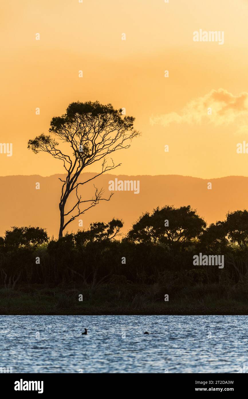 Fantastic sunset over Plantation Creek near Ayr in the Shire of ...