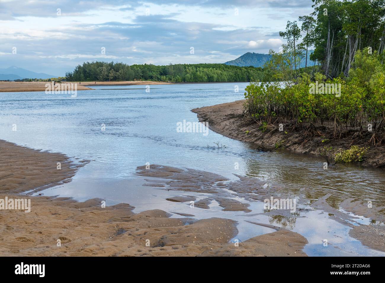 Yorkeys Knob beach, Yorkeys Knob, Cairns, Queensland, Australia Stock ...