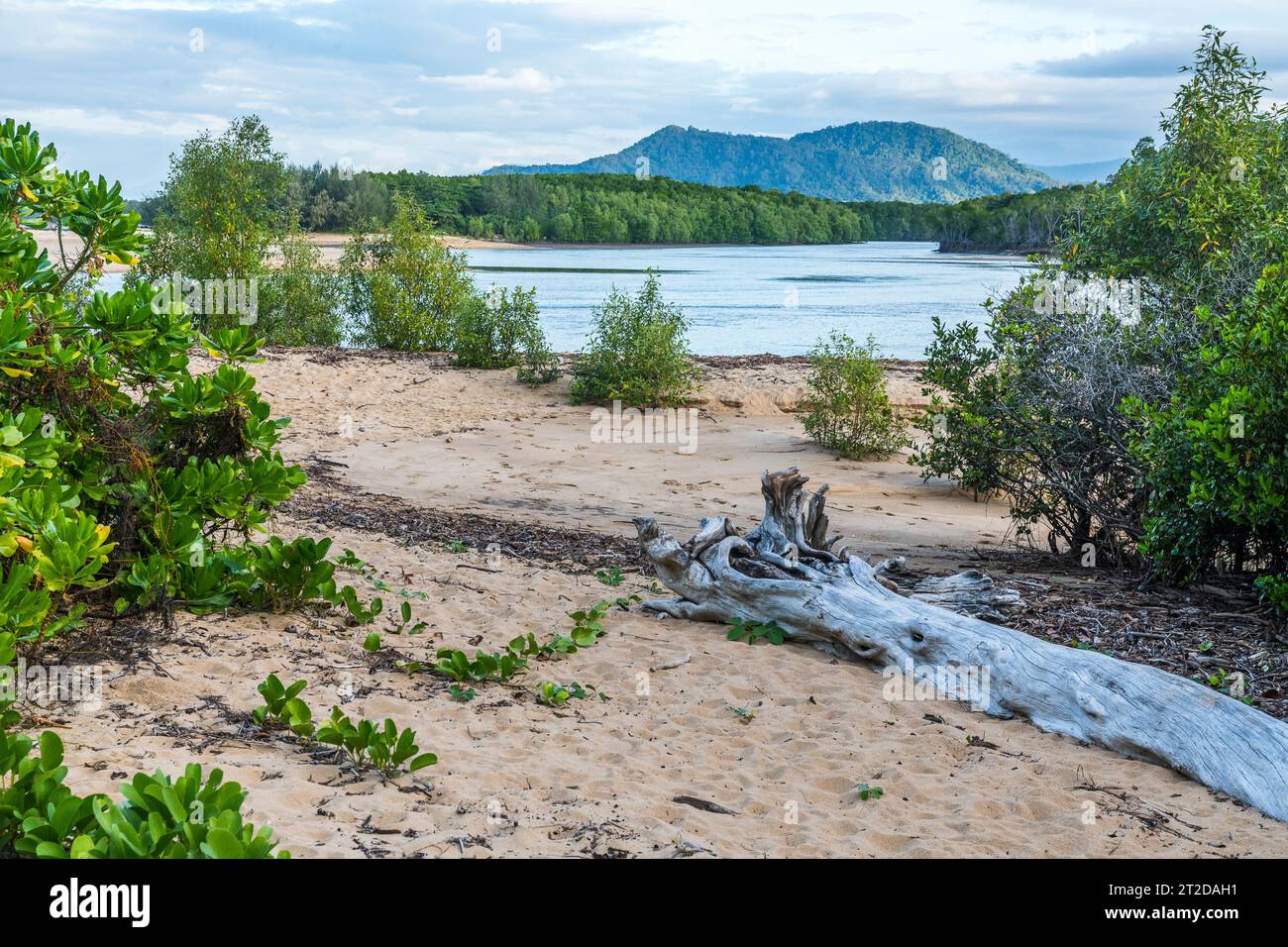 Yorkeys Knob beach, Yorkeys Knob, Cairns, Queensland, Australia Stock ...
