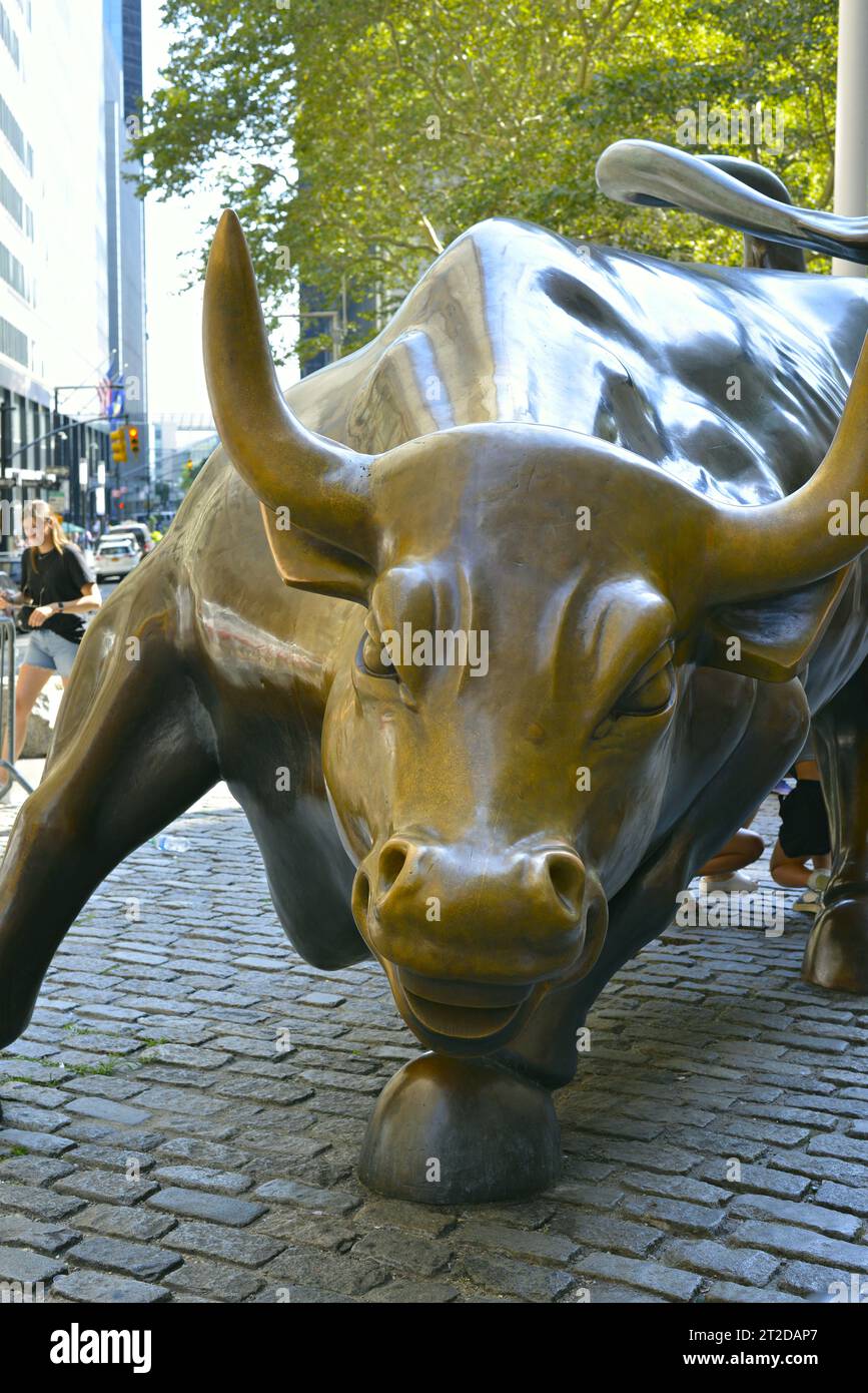 Bull in metropolis hi-res stock photography and images - Alamy