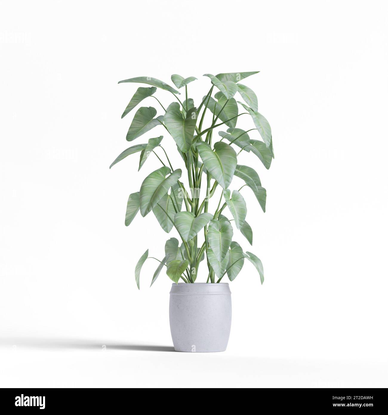 Realistic Plants and Flower White clean background Stock Photo - Alamy