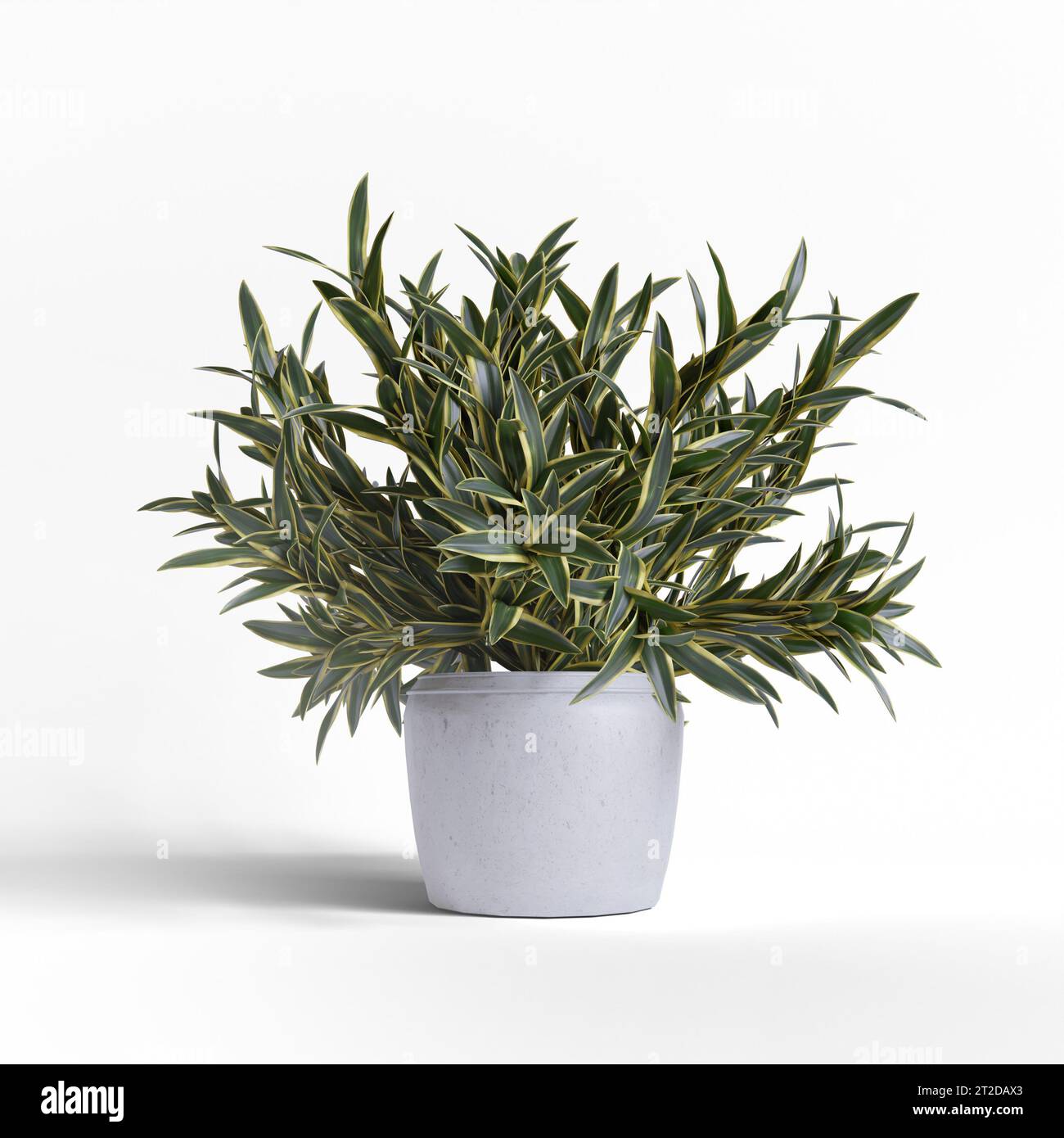 Realistic Plants and Flower White clean background Stock Photo - Alamy
